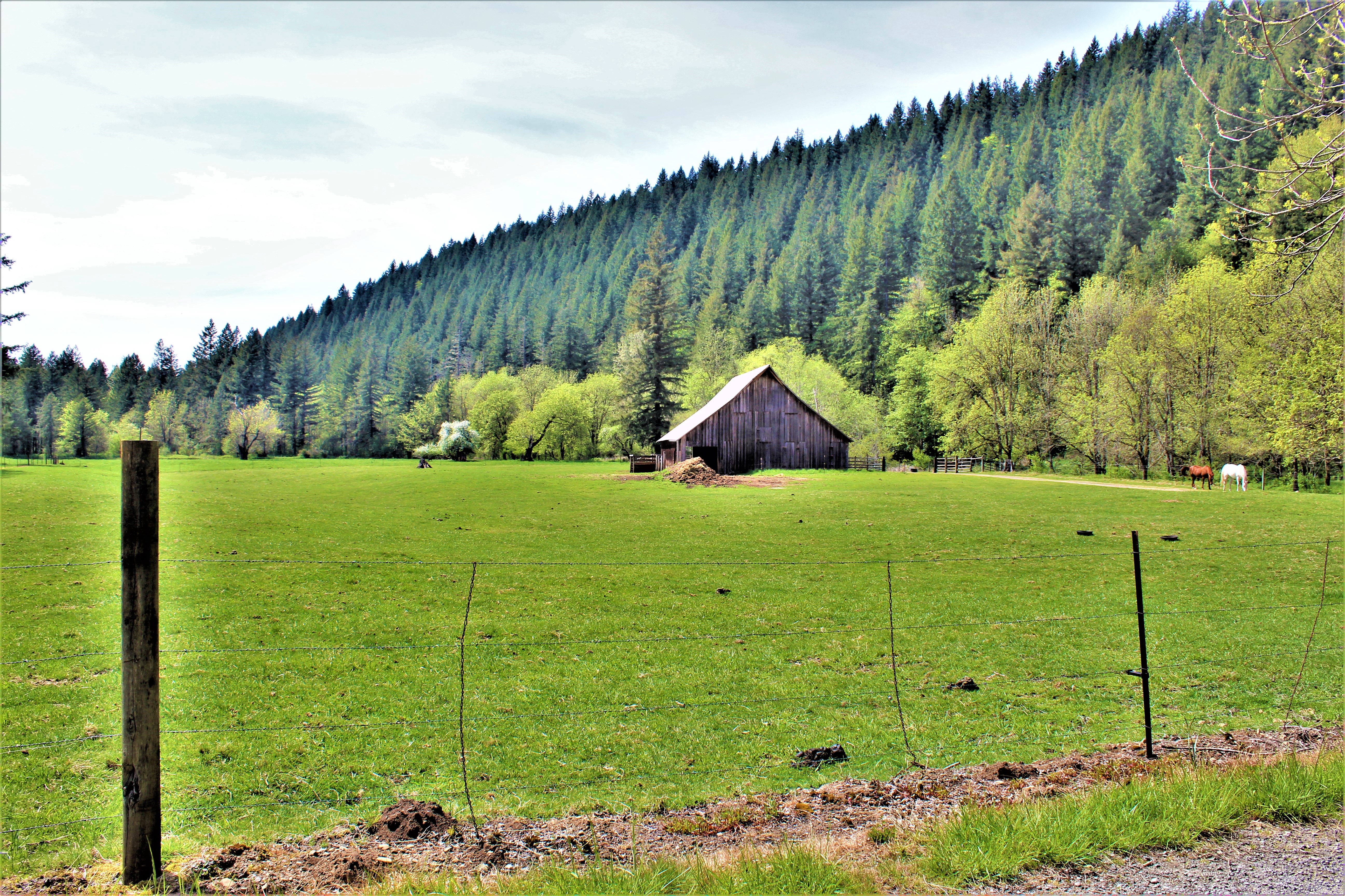 Pomeroy Living History Farm - Video Location Venue