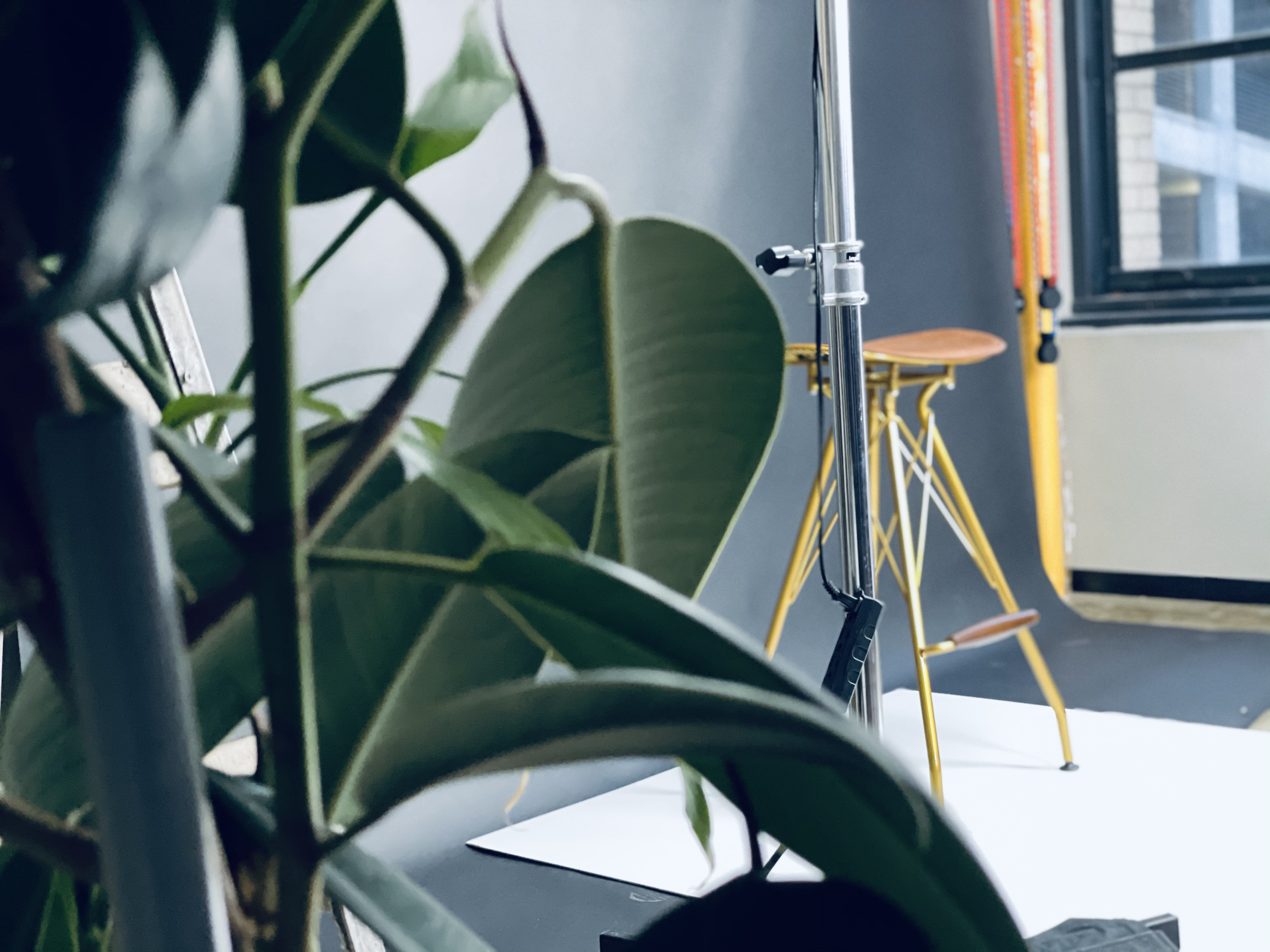 10 Best Creative Locations for events, photo shoots, and filming in ...