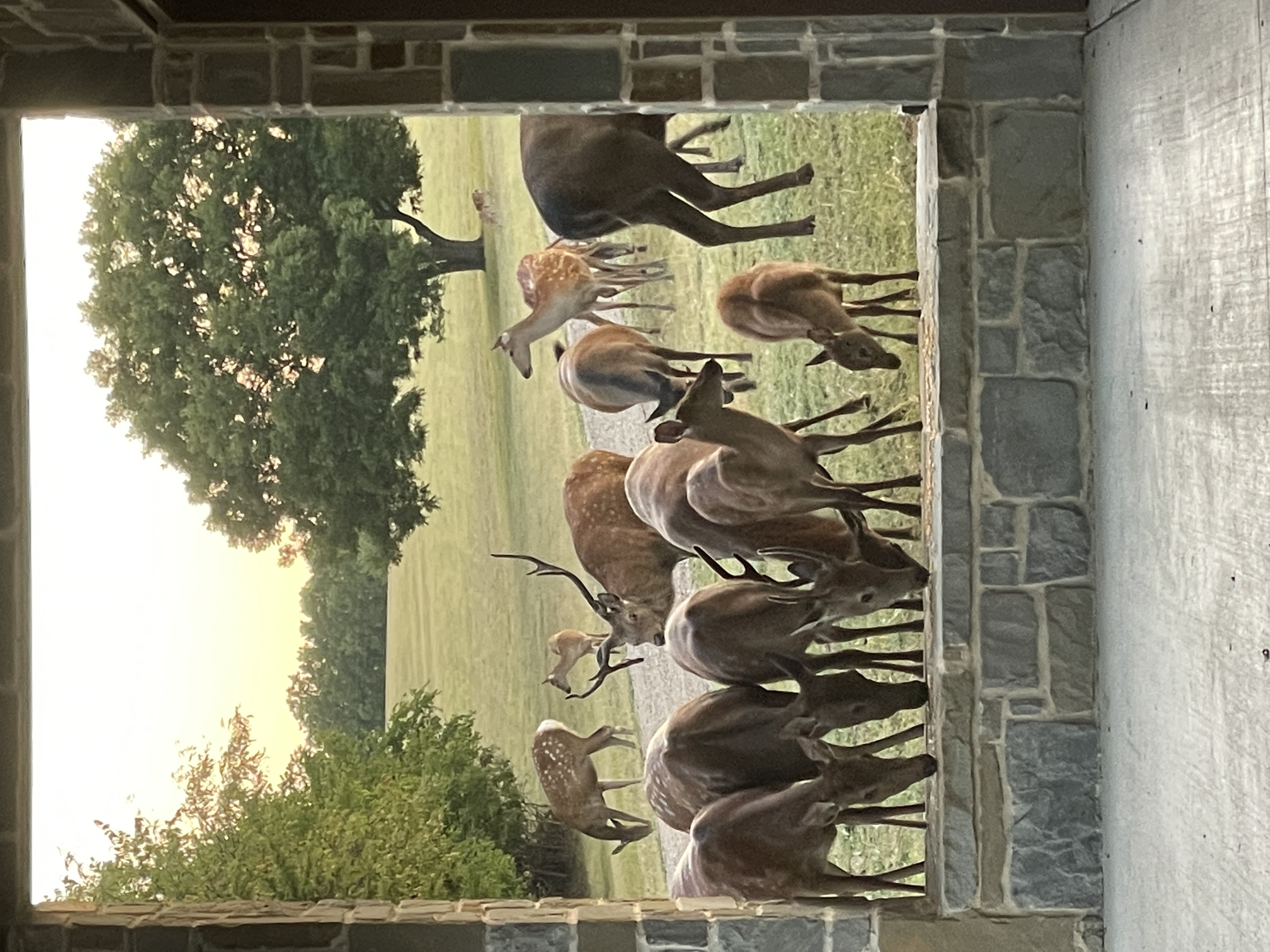 Dallas Photoshoot & Filming Locations For Rent [$25/hr] - AVVAY